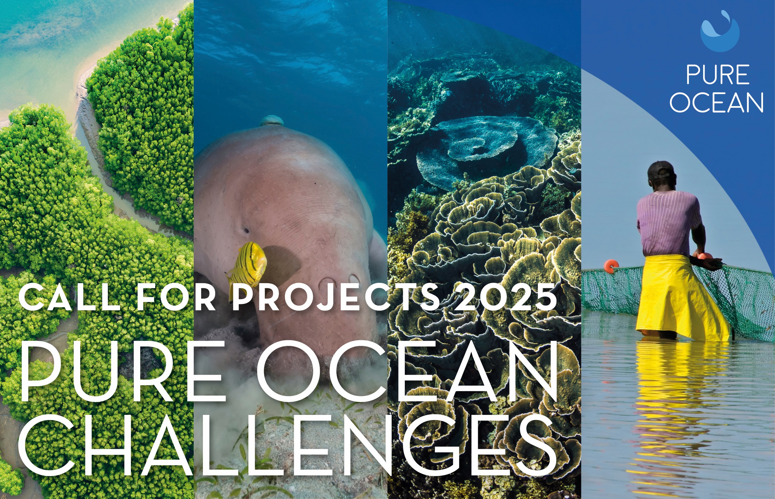 Pure Ocean Fund | Pure Ocean Call for Projects 2025